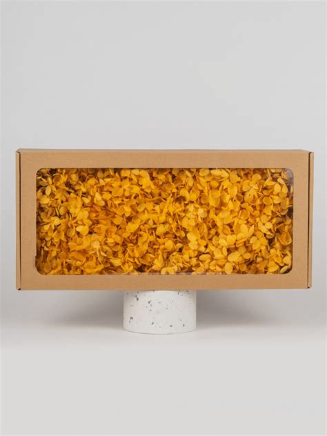 Гортензія стабілізована гірчична 100 г купити за ціною 1899 грн • Dfb Elements Україна