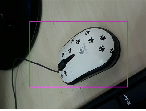 Photo Capturing Without Imgproc Rectangle OpenCV Q A Forum