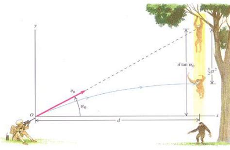 How Not To Shoot A Monkey Video Analysis Of A Classic Physics Problem