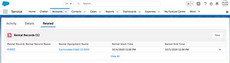 View Junction Object Record In Salesforce