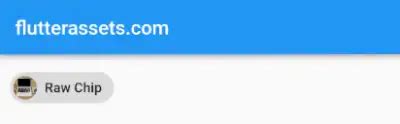 How To Customize The Flutter RawChip Widget With Ease