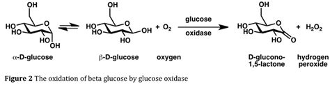 Glucose Oxydase Pdf Le Fonctionnement Dun Lecteur De Glycémie Tp