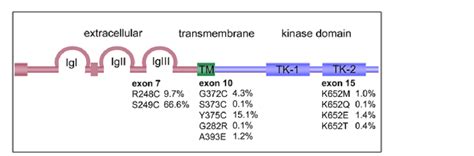 Relevant Frequencies And Locations Of Fgfr3 Mutations In Urothelial