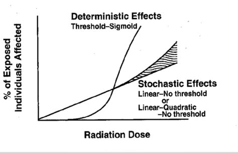 Radiation Safety And Protection Flashcards Quizlet