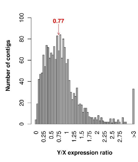 Distribution Of Y X Expression Ratios In S Latifolia Males For The Download Scientific Diagram