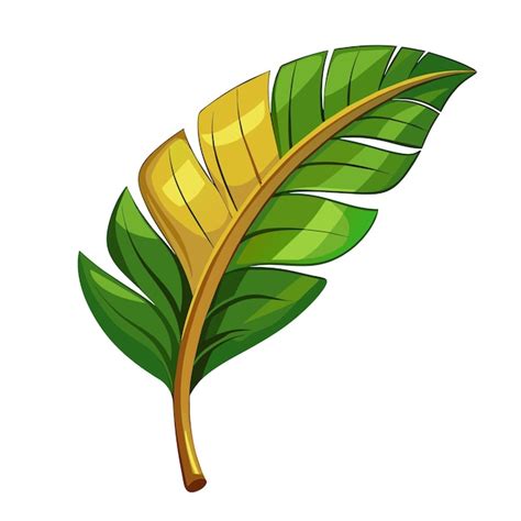 Hoja De Palma De Plátano Verde Tropical Sobre Un Fondo Blanco Vector Premium