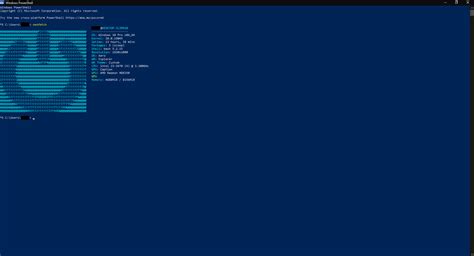 Rehber Windowsta Neofetch Kurma Ve Config Düzenleme Custom Ascii