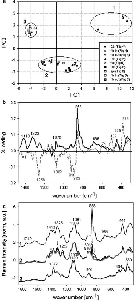 score plot a and loadings b of the principal component analysis