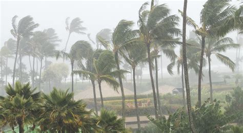 Guide To Weathering Hurricane Season In Hawaii Next Vacay