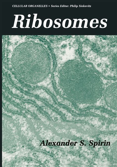 Ribosomal Rna Function