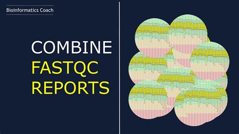 How To Combine Fastqc Reports Using Multiqc Quality Control