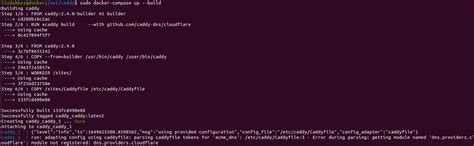 caddy dns cloudflare is broken will not install · issue 37 · caddy