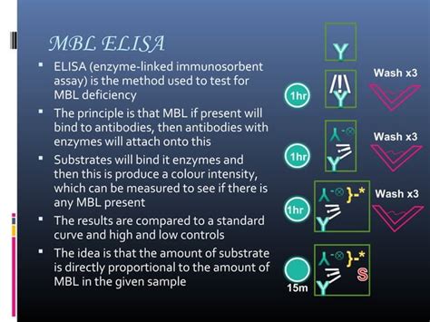 A Brief Introduction To Mannose Binding Lectin Mbl And Its Clinical