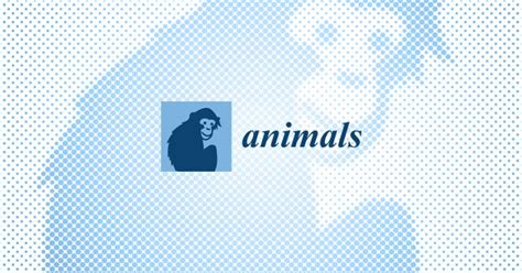 Parag Kadam On Linkedin Primate Sex And Its Role In Pleasure