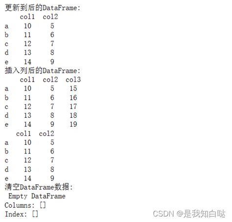 Pandas两种基本数据结构：series和dataframepandas Series和dataframe Csdn博客