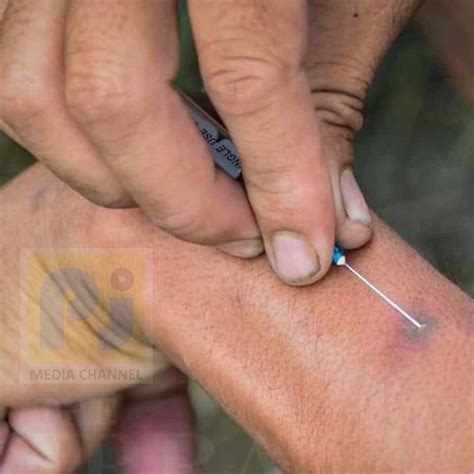 ဆွမ်ပရာဘွမ်မြို့အနီးရှိ ဖုန်ငိုင်ယာန် စစ်ရှောင်စခန်းတွင် Kiaမှ မူးယစ