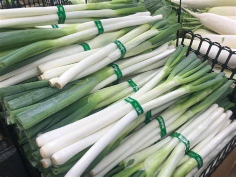 대파 효능 부작용 칼로리 영양성분 네이버 블로그