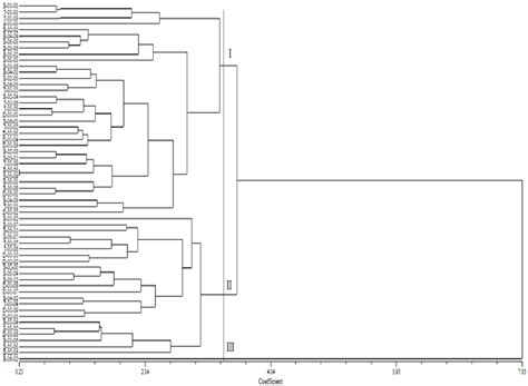 dendrogram constructed by upgma method based on 6 quantitative traits