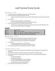 Biology Lab Practical Study Guide Course Hero