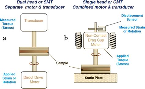 Viscoelasticity In 3d Cell Culture And Regenerative Medicine Measurement Techniques And