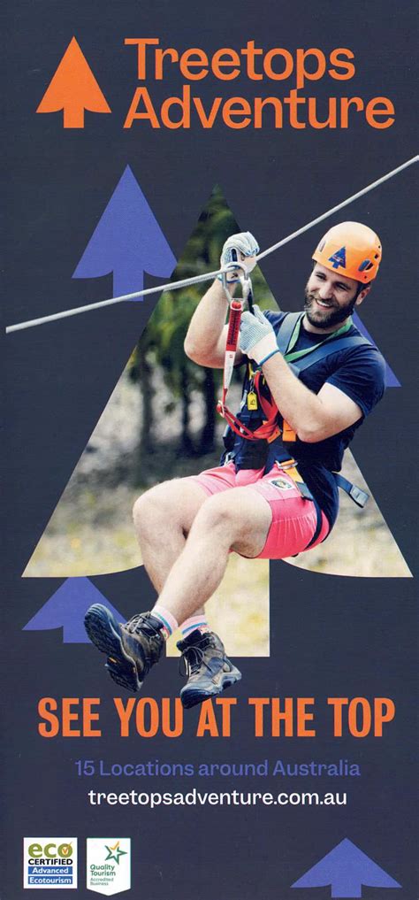 Treetops Adventure Challenges In Stunning Forest Scenery