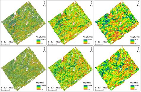 Estimating Forest Functional Diversity By Remote Sensing Aerospace Information Research