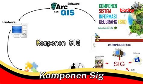 Memahami Komponen Sig Kunci Untuk Pemanfaatan Maksimal Biotifor