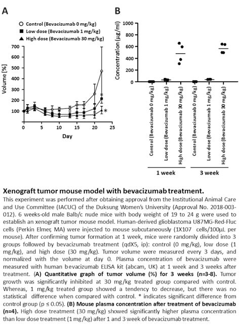 Three Dimensional Angiogenesis Assay System Using Co Culture Spheroids
