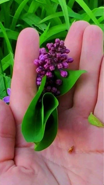 Reverse Videos 😀🙃😀 Youtube