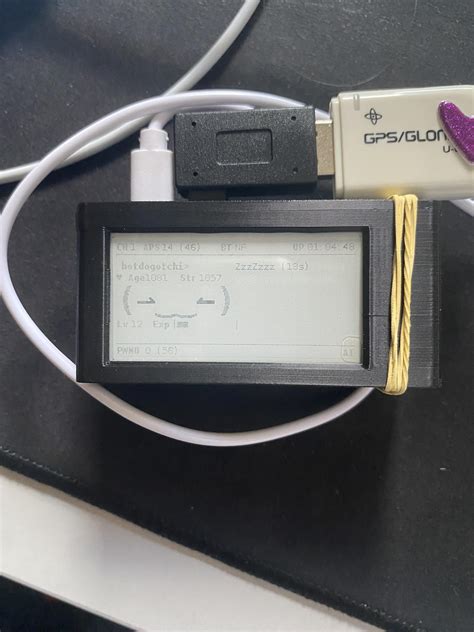 Some Trouble With My Pwnagotchi Rpwnagotchi