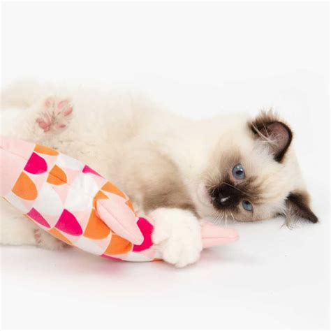 Catit Catnip Products