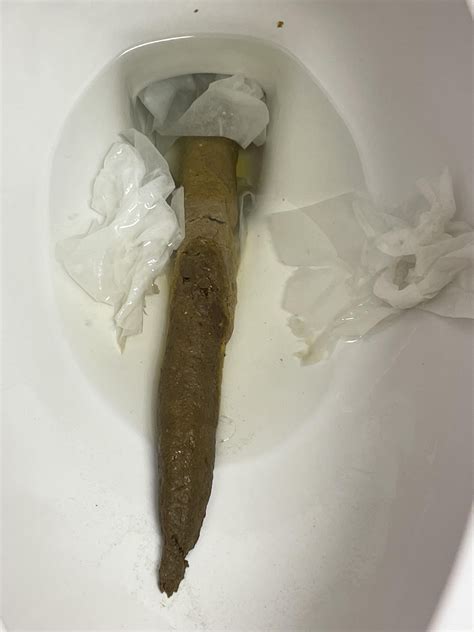 Longest Poop Ever Rpoop