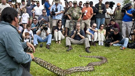 Why guns aren't allowed in the Florida Python Challenge