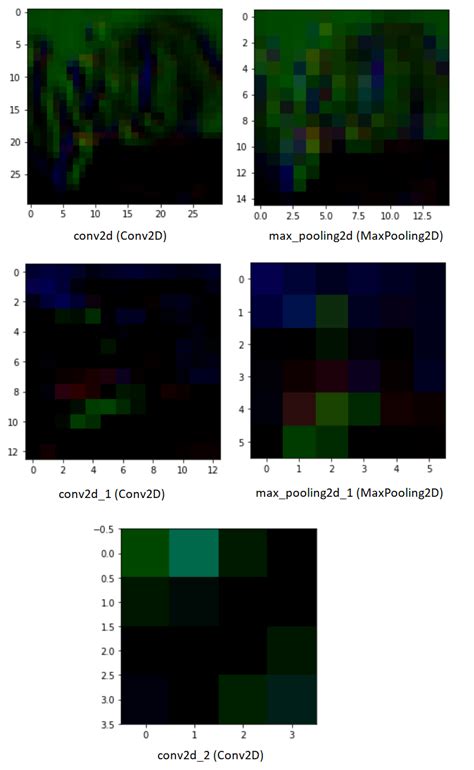 Python How Can I Get The All Output Keras Layers Features Maps