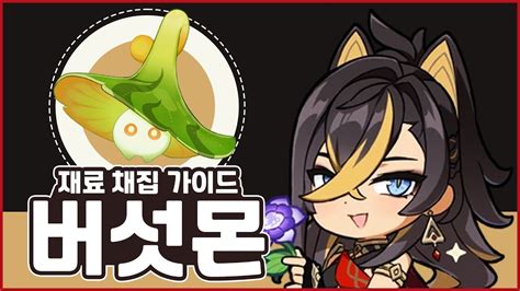 버섯포자가 필요하세요 【로버찌】 원신 재료 버섯몬 버섯몬포자 Youtube