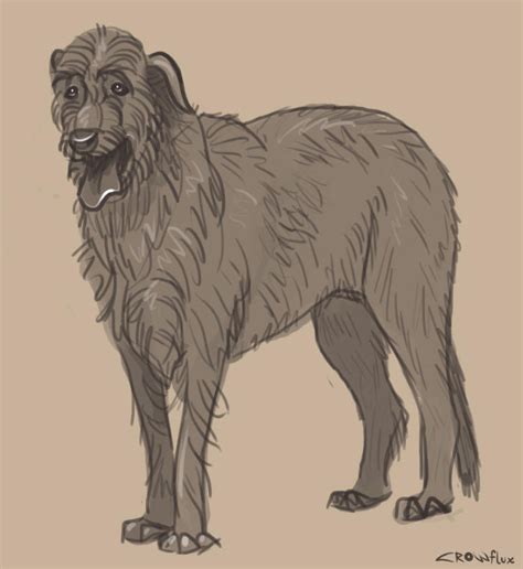 Irish Wolfhound Sketch By Crowflux On Deviantart