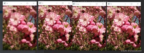 Opencv均值、中值滤波器的讲解及实战应用（附python源码）均值滤波器 Csdn博客