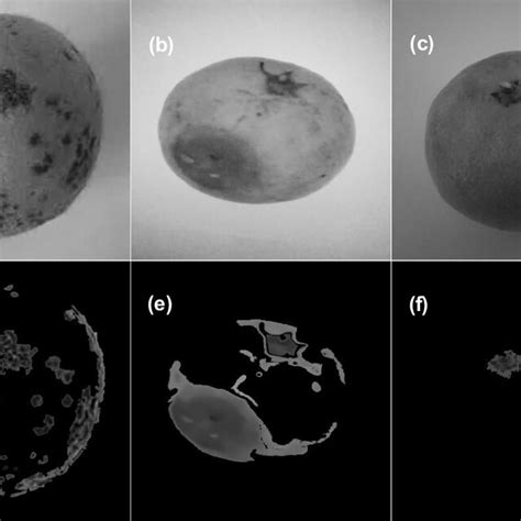 citrus image after image segmentation by pcs 2d otsu threshold in the