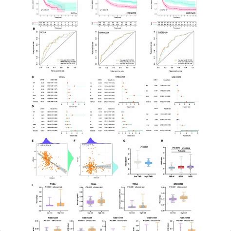 The Prognostic Signature Was Related To Clinical Characteristics And