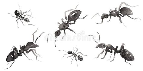 set 10 with six differents forms ant isolated on white hand drawn