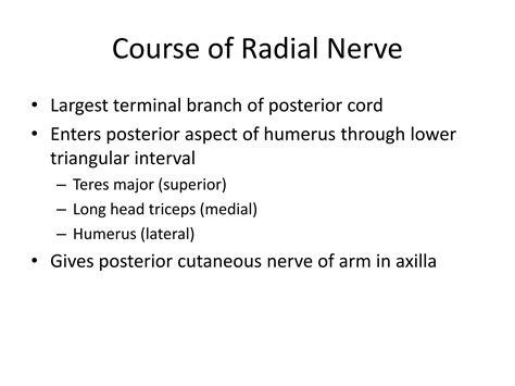 Radial Neuropathy And Electrophysiology Pptx