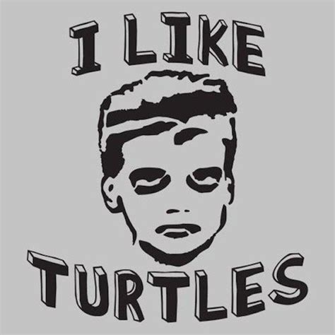 I Like Turtles Imgur