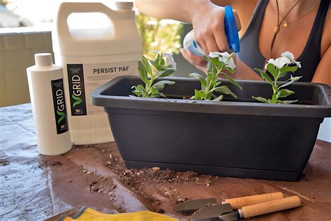 Biochar Benefits Persist