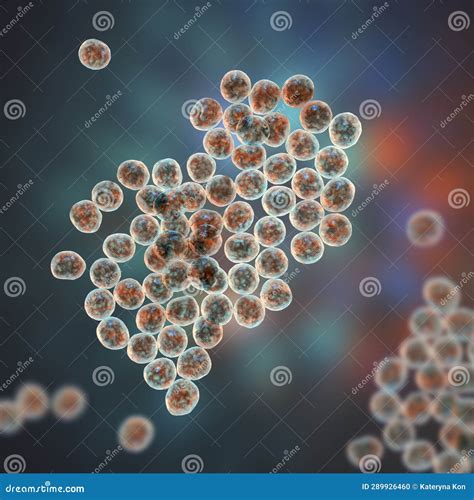 Staphylococcus Bacteria 3d Illustration Royalty Free Cartoon 289926377
