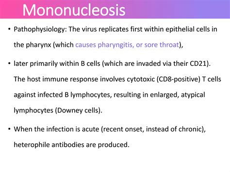 Epsteinbarr Virus Pdf Infectious Diseases Diseases And Conditions