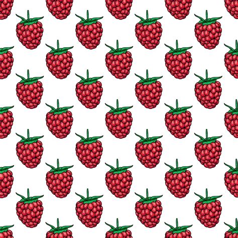 Premium Vector Hand Drawn Vector Raspberry Pattern
