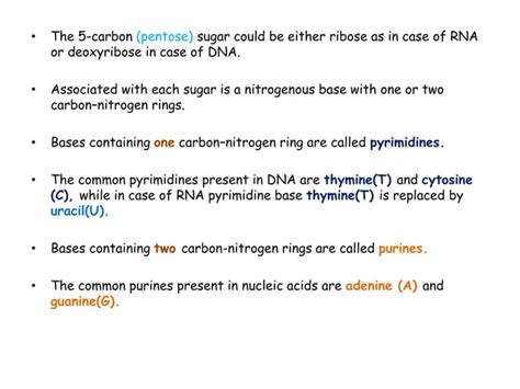 DNA Structure Function PPTX