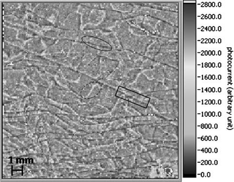 Figure 1 From Effects Of Dislocation Walls On Image Quality When Using Cadmium Telluride X Ray