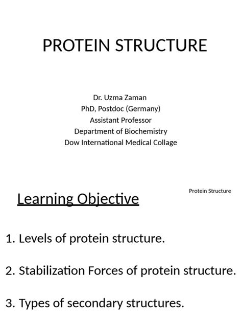 Protein Structure 23 Pdf Beta Sheet Protein Structure