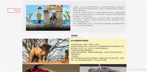 原生js实现期末网页大作业——宠物之家 javascript网页设计期末大作业 csdn博客